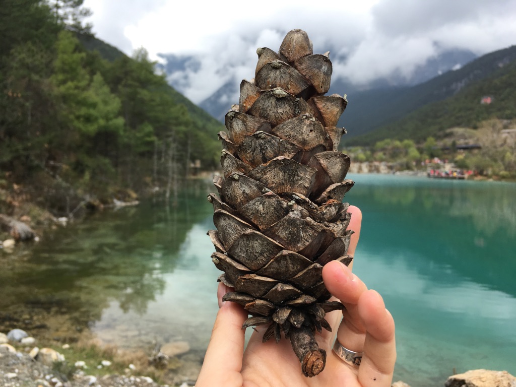 shishka | WHY КИТАЙ